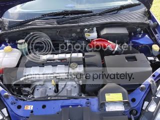 Ford focus st170 in imperial blue.only 31000 miles | Reptile Forums