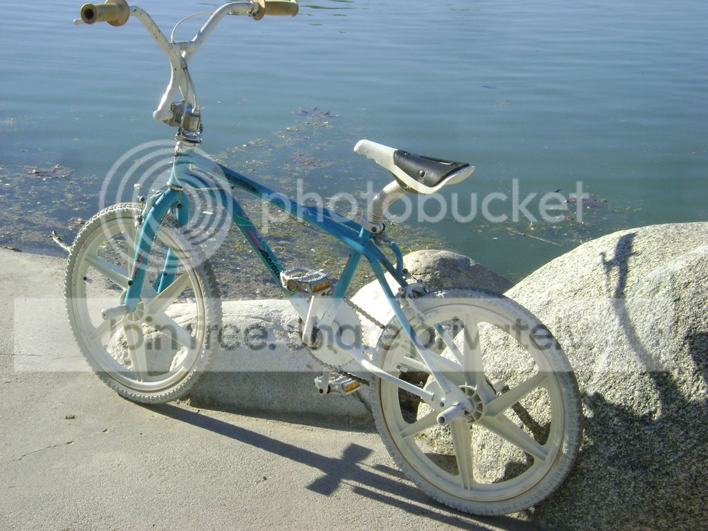 Freestyle Friday's - BMXmuseum.com Forums