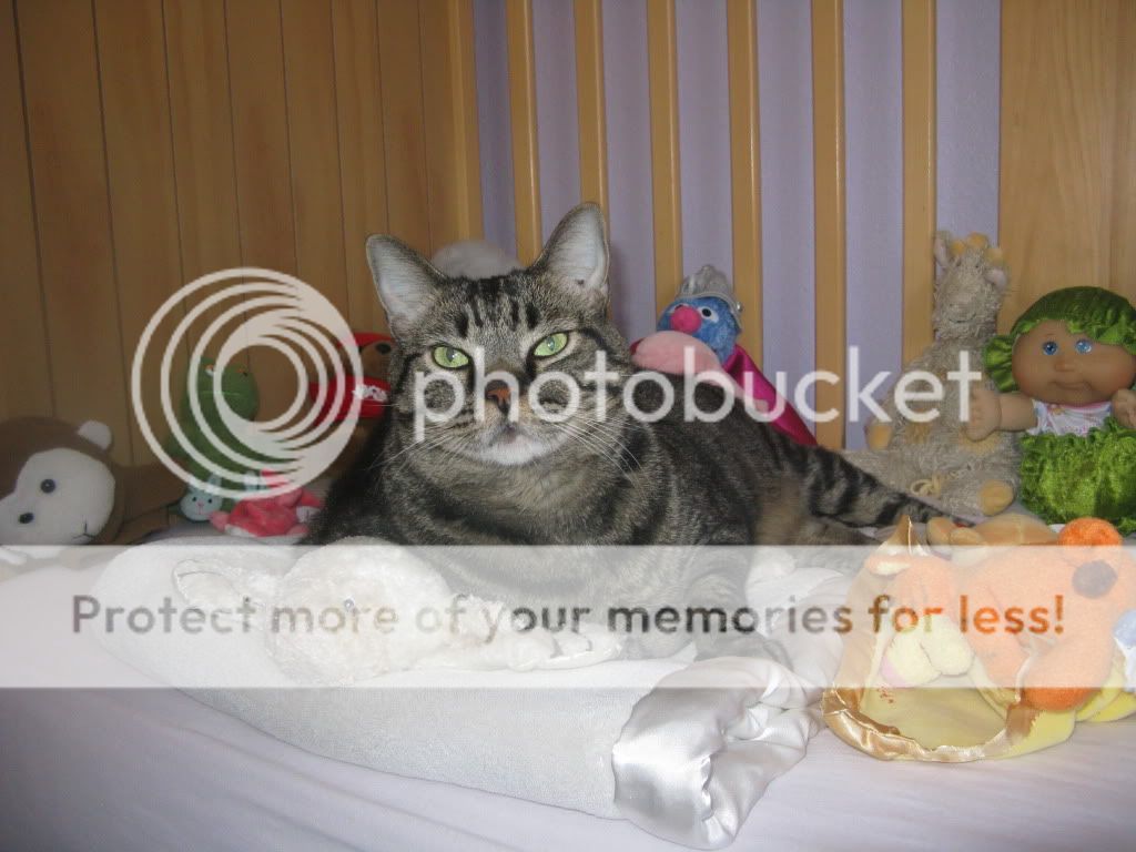 Favorite pet – Non Film Score Discussion – Film Score Monthly ...